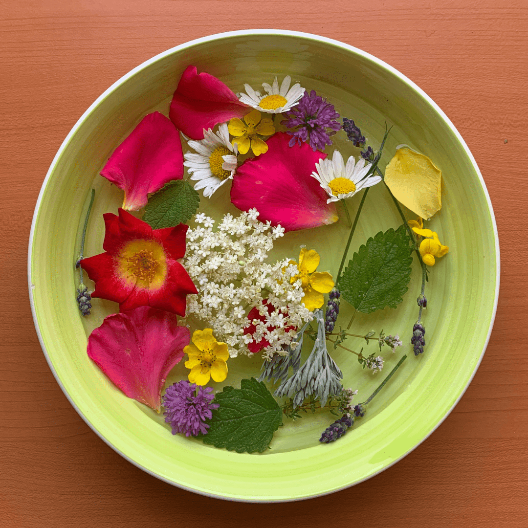 Come Si Prepara Acqua di San Giovanni: Ricetta e Storia