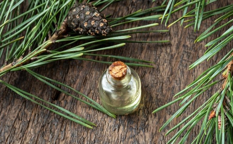 Olio Essenziale Pino Mugo e Pino Silvestre: A cosa serve, Come usare