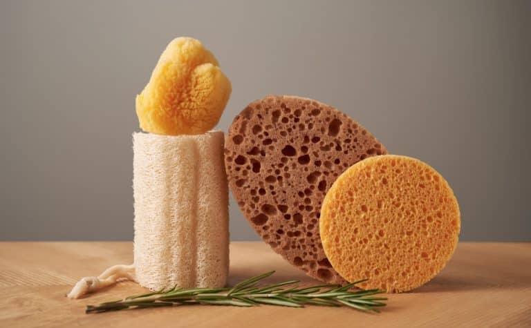 Spugne Naturali di Mare o Vegetali: Cosa Sono, Come Usarle e Pulirle